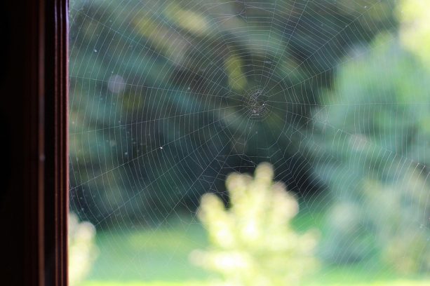 Code Wizards: A Look at the Best Web App Developers in the Industry ...
