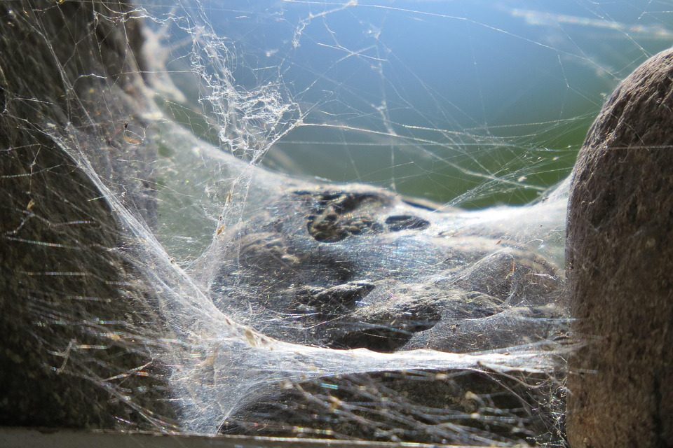 Custom vs. Generic: How Tailored Web Apps Drive Growth and Efficiency ...